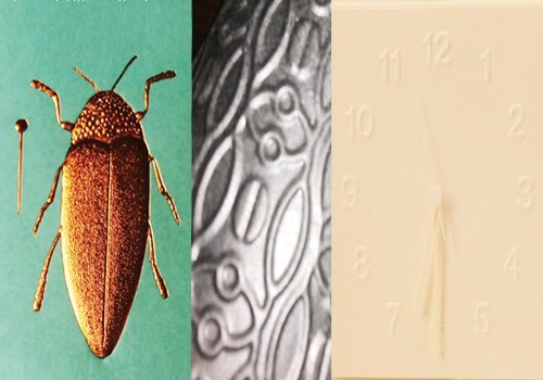 BillerudKorsnäs launches FibreForm in Mumbai and Delhi - Packaging ...