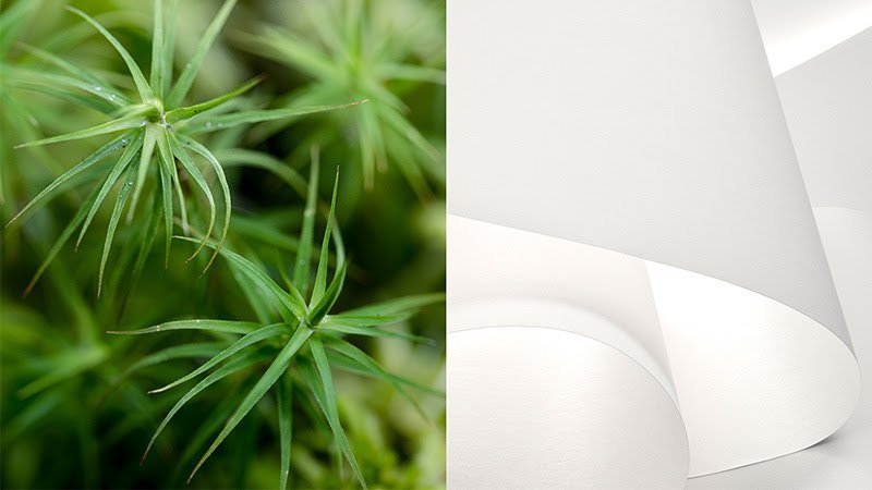 UPM Raflatac, Asahi, HP Indigo at Labelexpo Europe